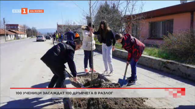 100 деца засаждат 100 дръвчета в Разлог - Българска национална телевизия