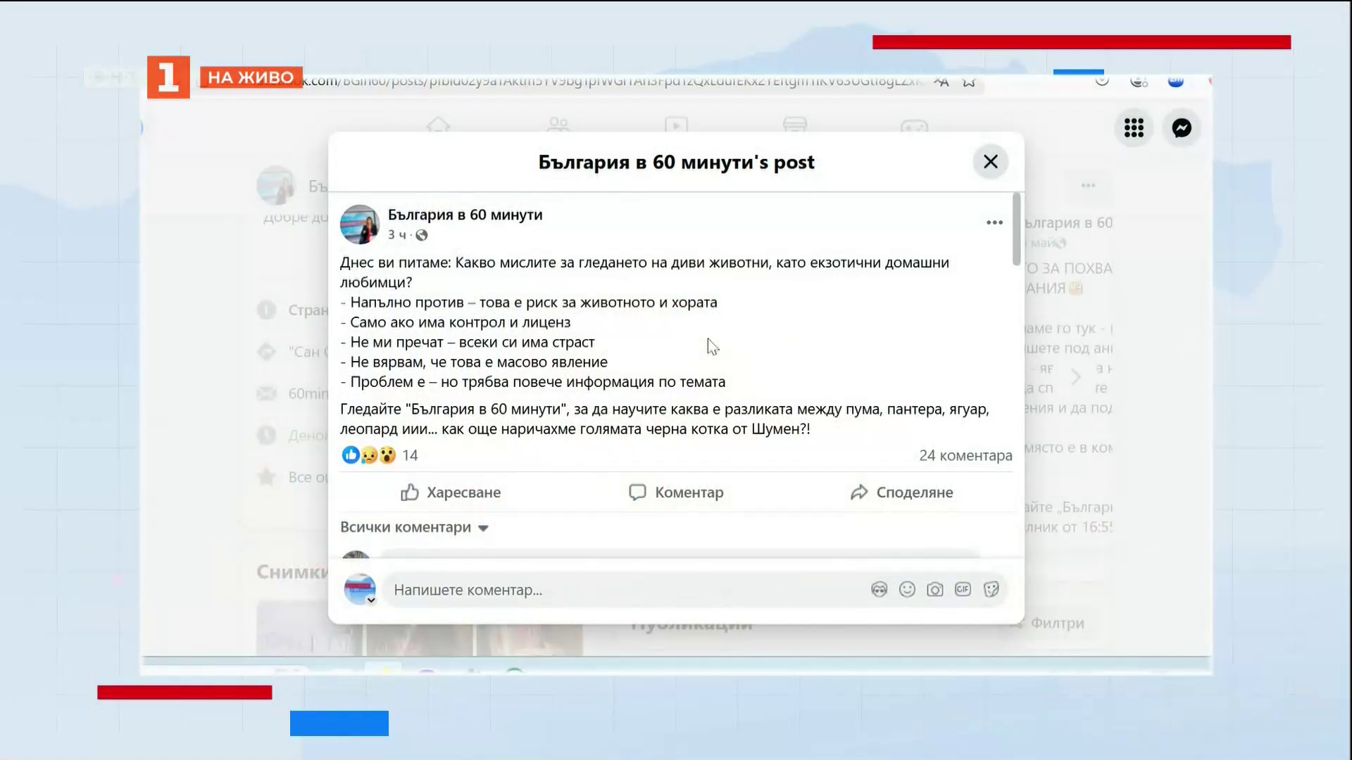 Анкета: Какво мислите за гледането на диви животни като екзотични домашни любимци? - Българска ...